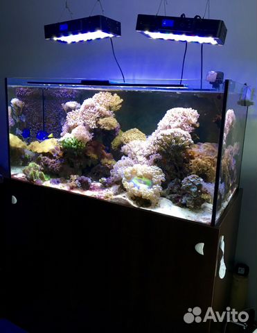 Морской аквариум с песком оборудо-ем 400л