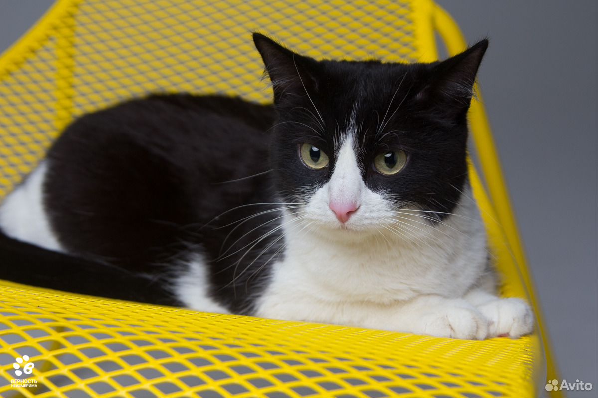 Буся-Бусинка