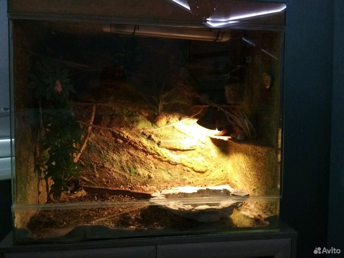 Аквариум для домашних животных