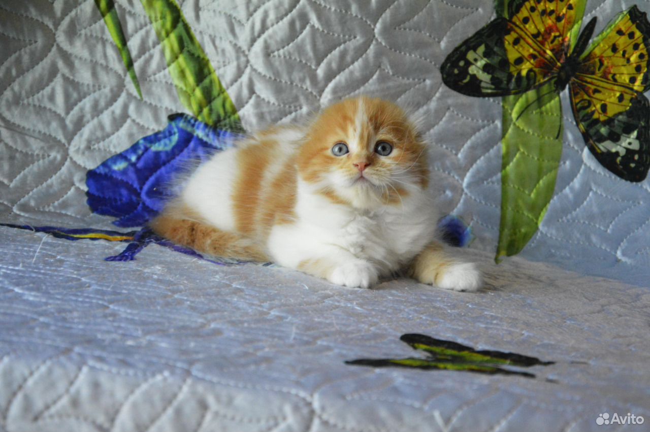 Просто картинка