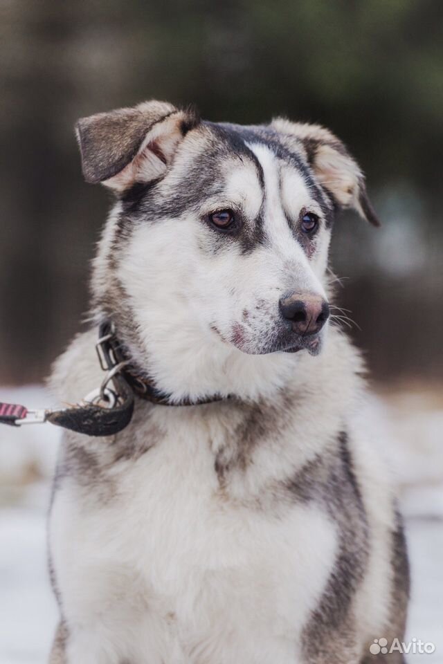 Бесподобная девочка