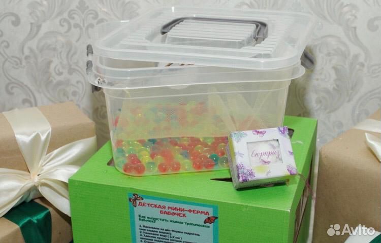 Мини-ферма бабочек