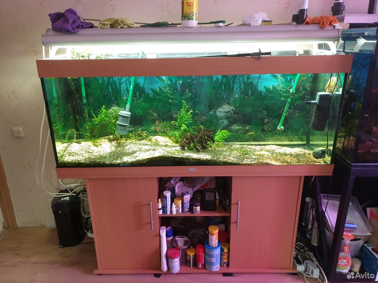 Аквариум juwel Rio 450