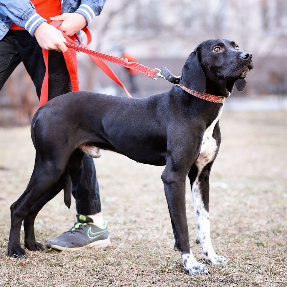 Грант ищет семью