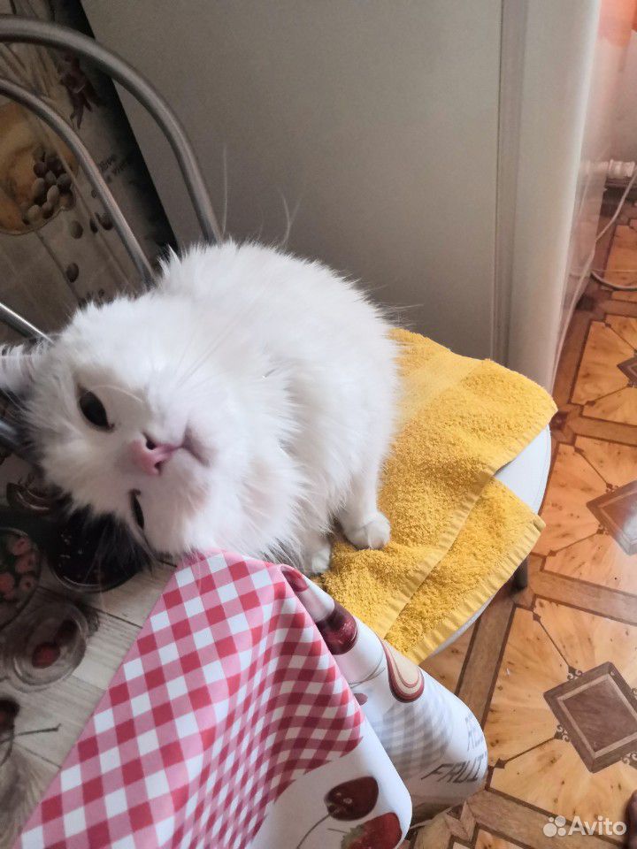 Микки