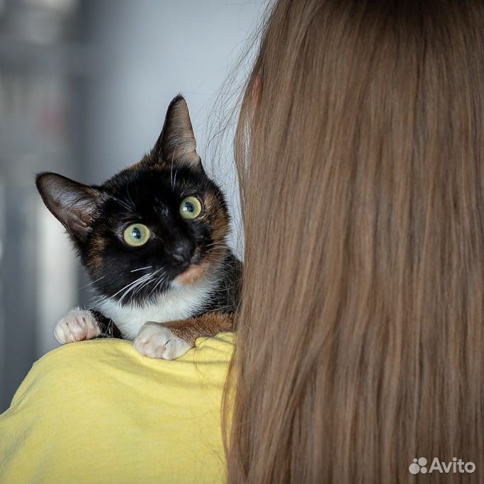 Изольдочка (для домашних Изочка)