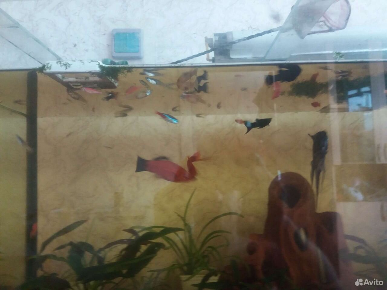 Аквариум