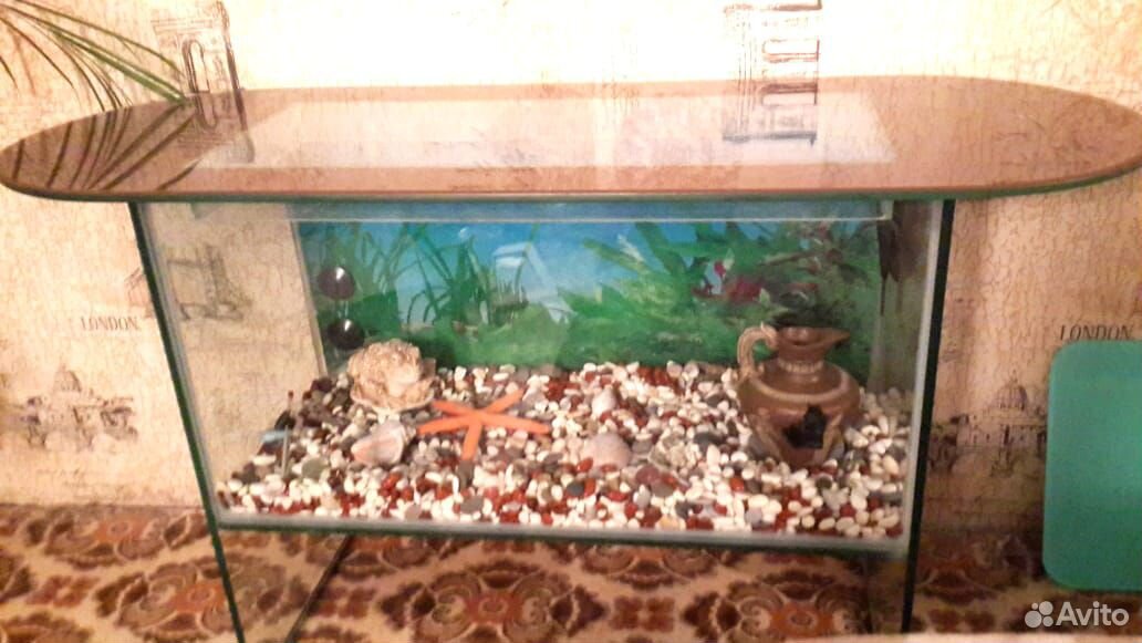 Аквариум- стол