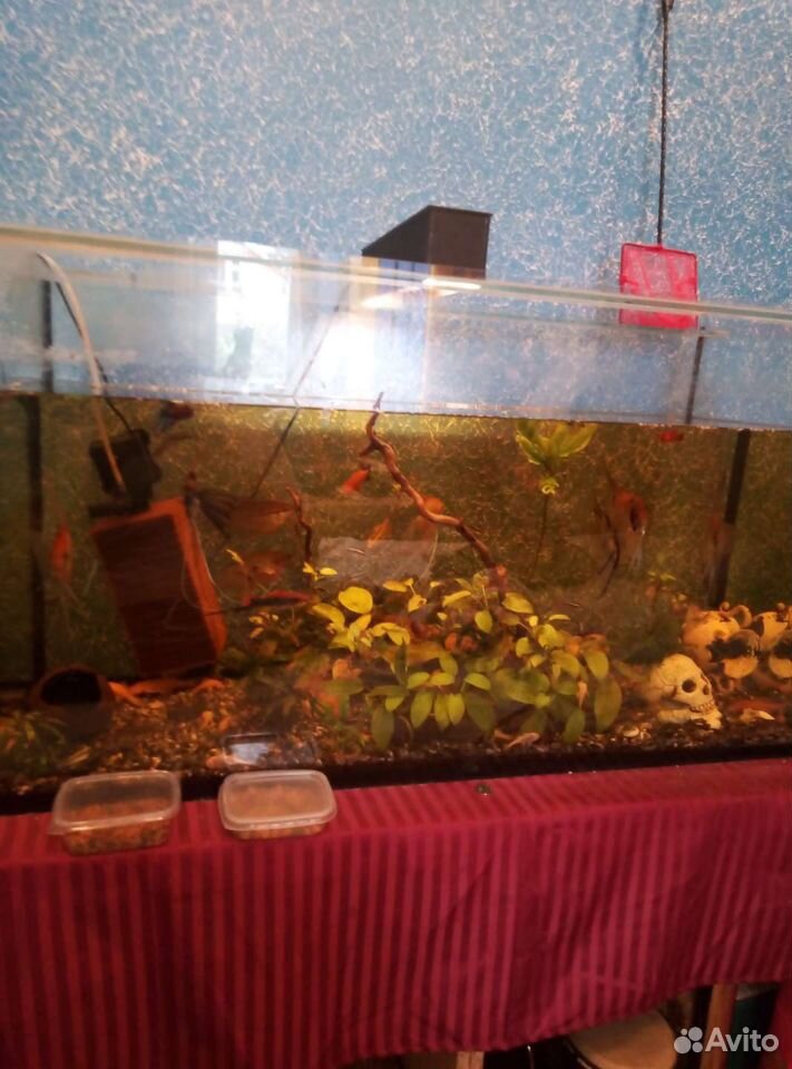 Аквариум