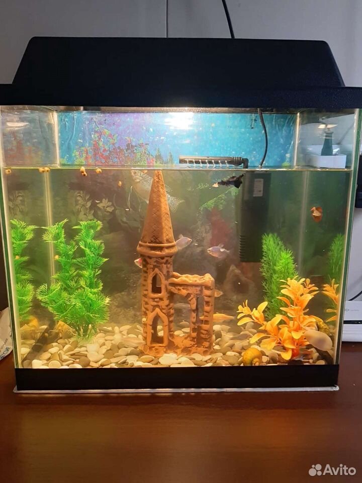 Аквариум