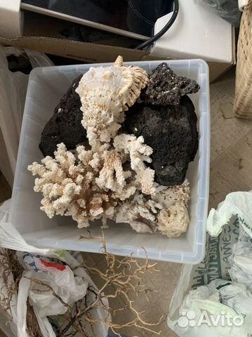 Натуральные кораллы и камни Комплект