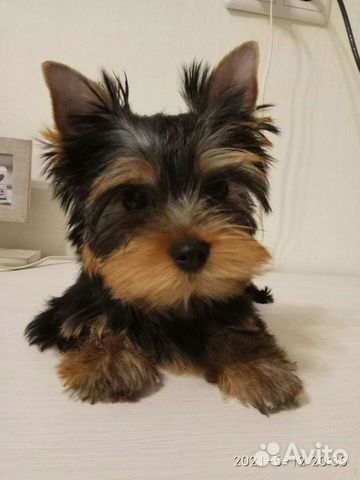 Классные парни