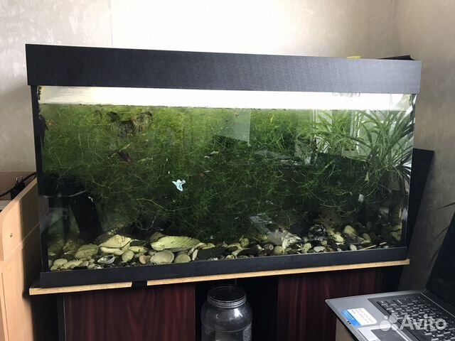 Аквариум 170 л