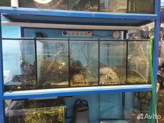 Витрина аквариумная