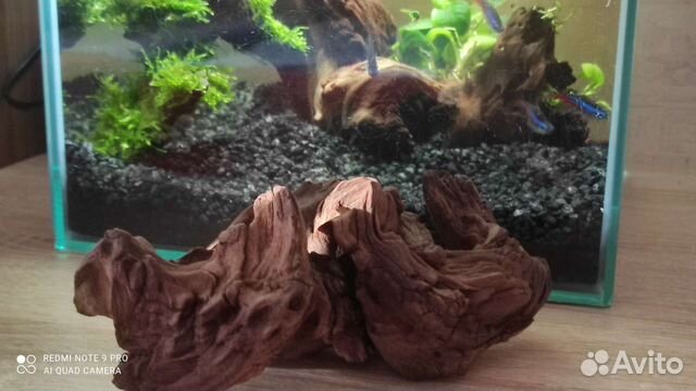 Коряга Мангра для аквариума