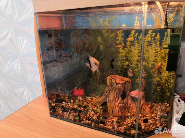 Подводный мир