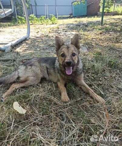 Мальчик и девочка