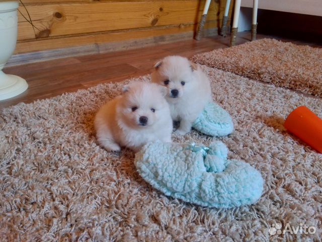 Малыши-карандаши