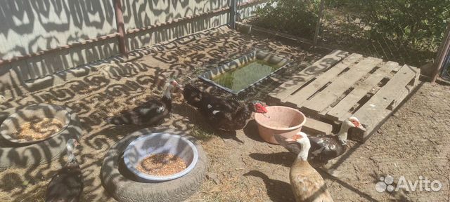 Г Севастополь, ул Соловьева, в/ч А0235, адрес для