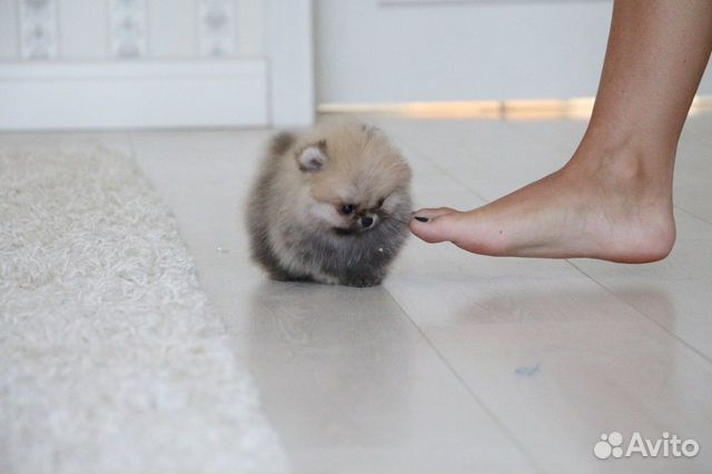 Экстра микро девочка