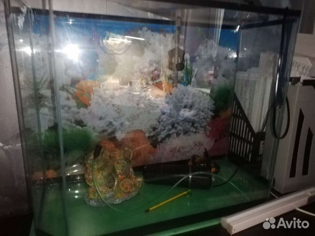 Аквариум с фильтром