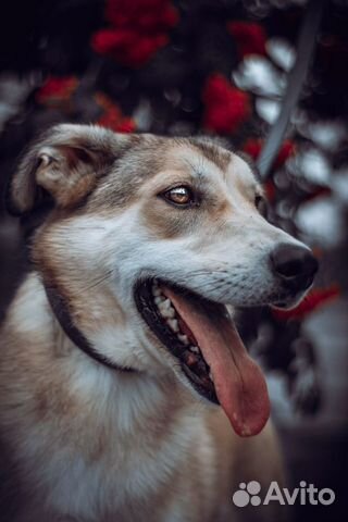 Ищу дом для Барби