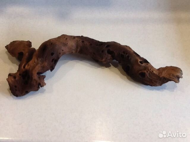 Коряга декоративная