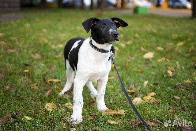 Очаровательный пацан