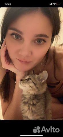 Котенок ребенок