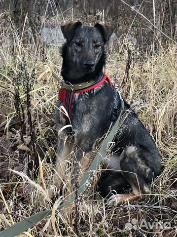 Тая ждёт свою семью