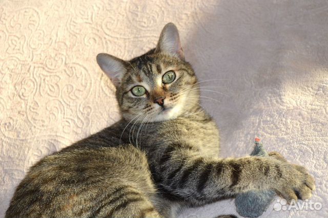 Ласковая милашка Ксю, 1года