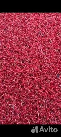 Мотыль Крупный Оптом