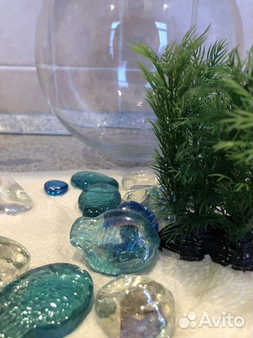 Круглыый аквариум 4 литра