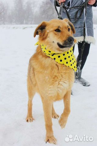 Яркая, солнечная Лиза ищет семью