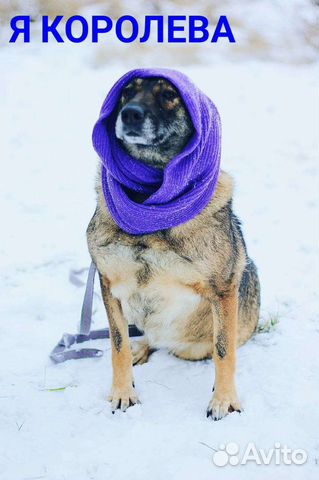 Дуня ждет свою семью