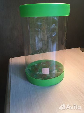 Бабочкарий