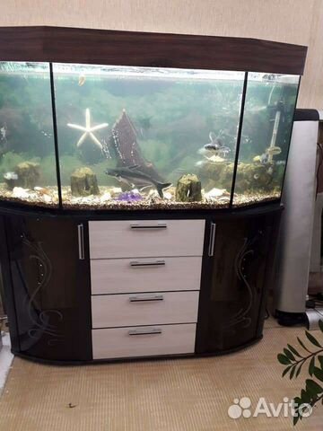 Аквариумы, террариумы от производителя от 10л-3тон