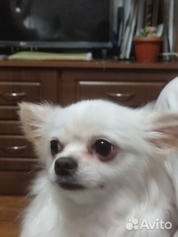 Ищем жениха