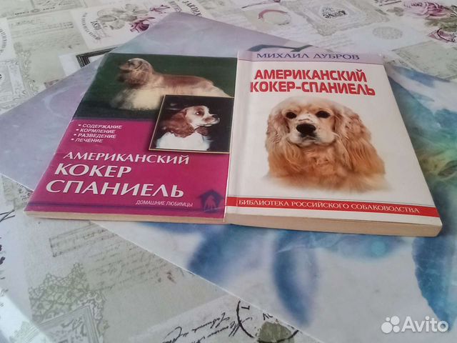 Все для американского Кокера спаниеля