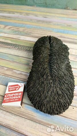 Декоративная водоросль в аквариум