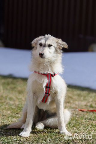 Невероятная инопланетная малышка