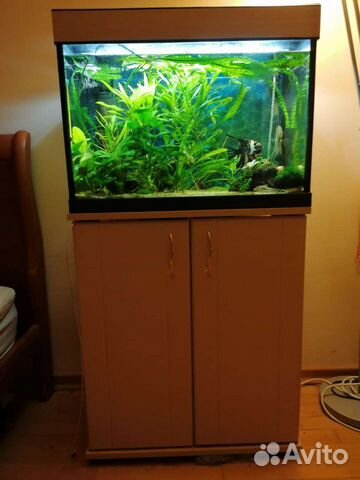 Аквариум 70 литров и 80 литров
