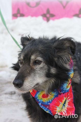 Не хочу умереть за решёткой