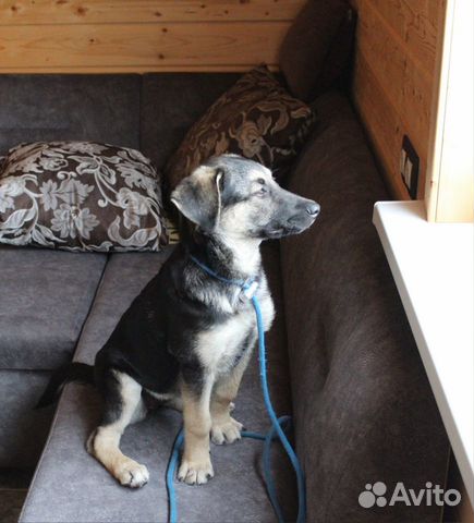 Джесси 4 месяца