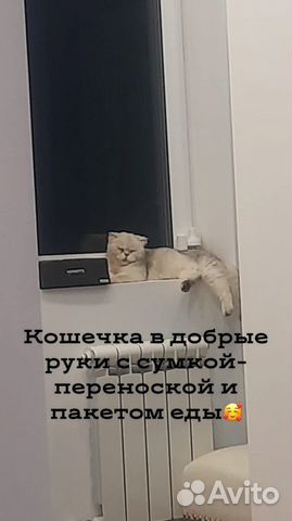 Кошка сумка переноска для кошки