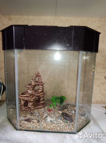 Аквариум