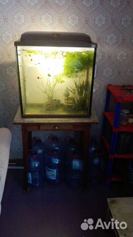Отдам бесплатно аквариум