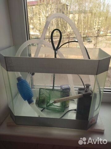 Аквариум