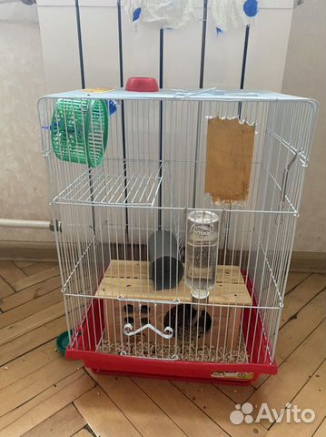 Две декоративные мыши с клеткой