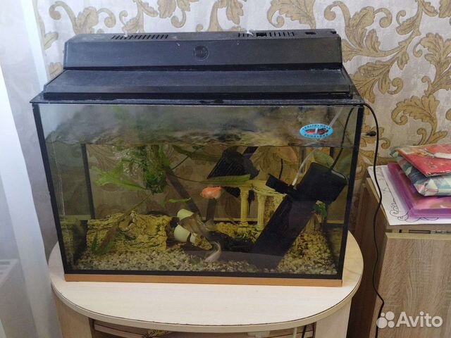 Аквариум с тумбой бу